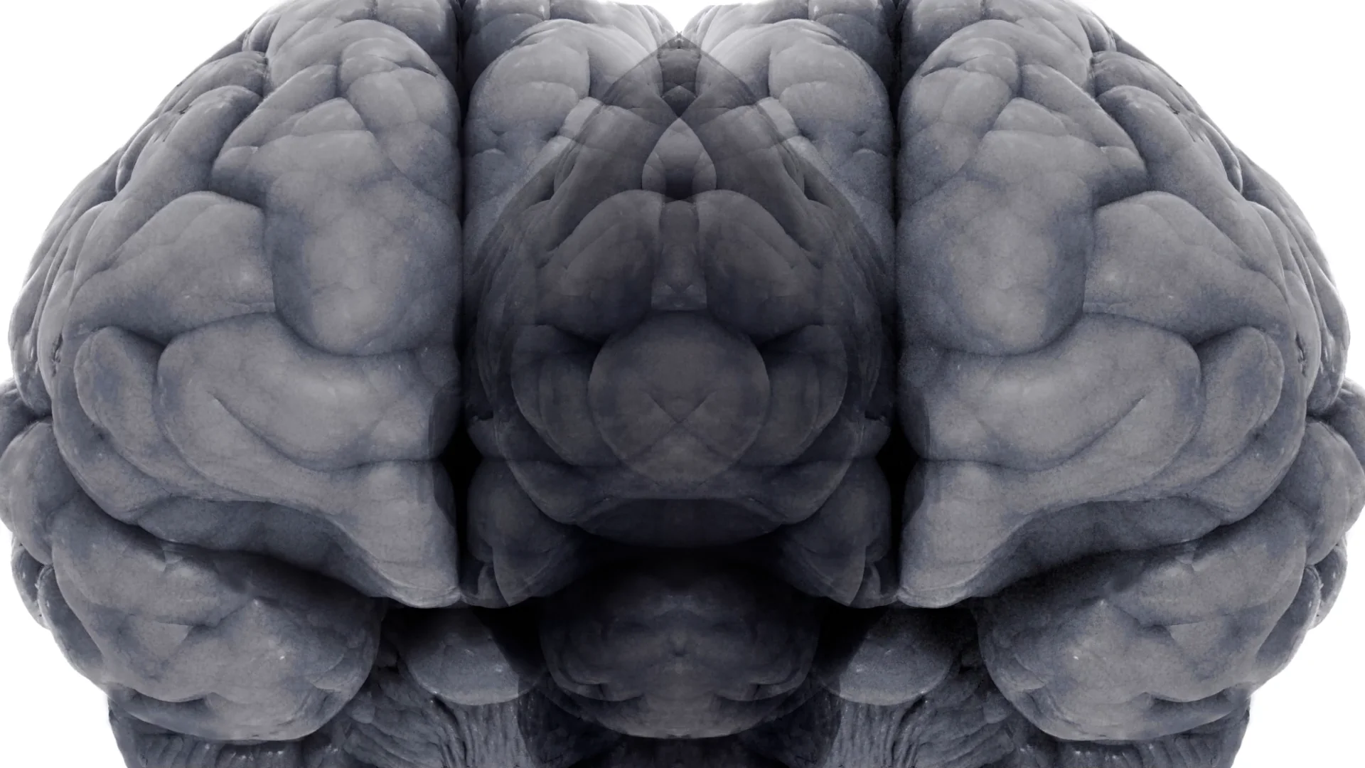 SPLIT_Title Sequence on Vimeo