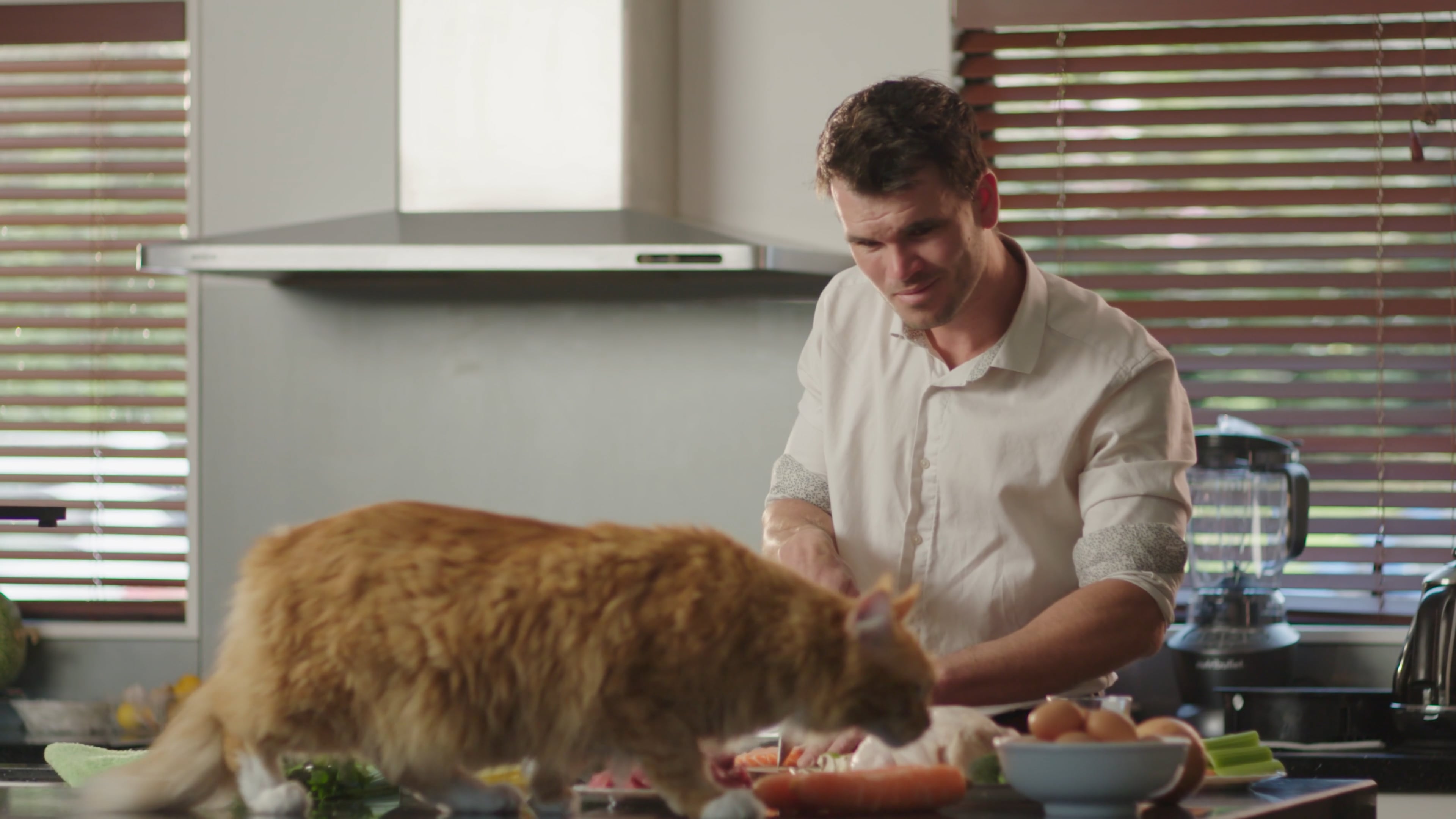 Connection_Final_4kh264 on Vimeo