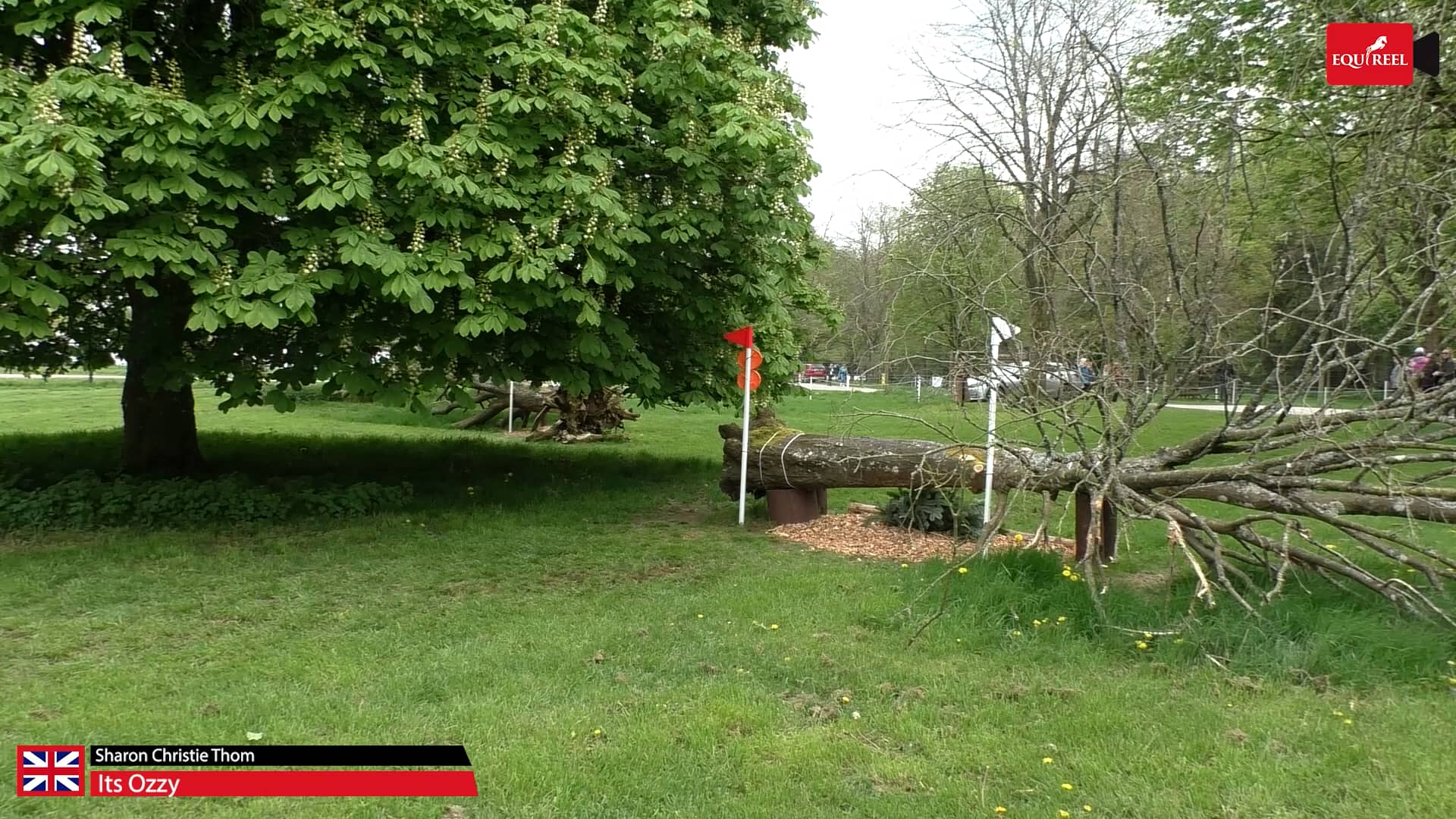 EQUIREEL 390 Sharon Christie Thom & Its Ozzy at VOLTAIRE DESIGN ...