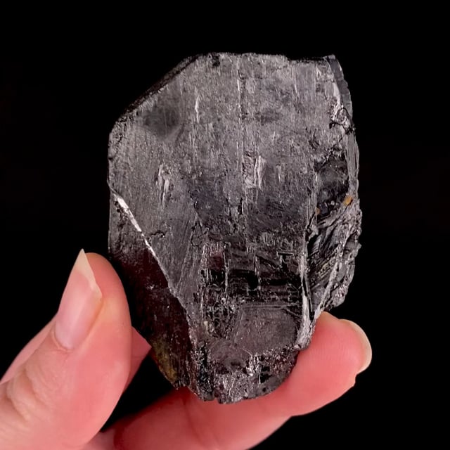 Special Auction - Pieces from the Legendary Ron Romanella