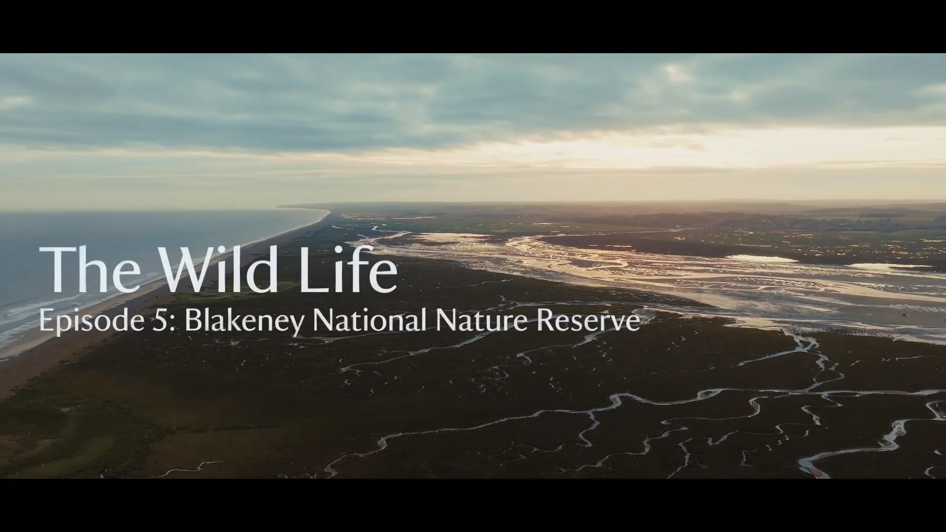The Wild Life Ep 5 "Blakeney National Nature Reserve" on Vimeo