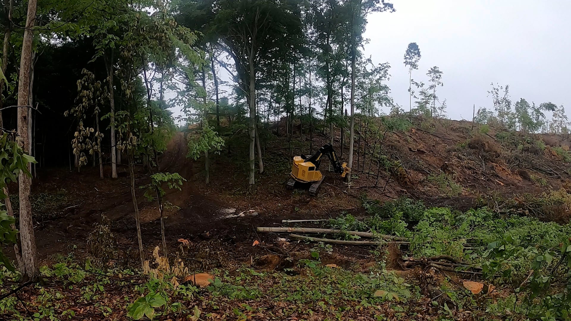 Gallery | Pull-Hard Logging