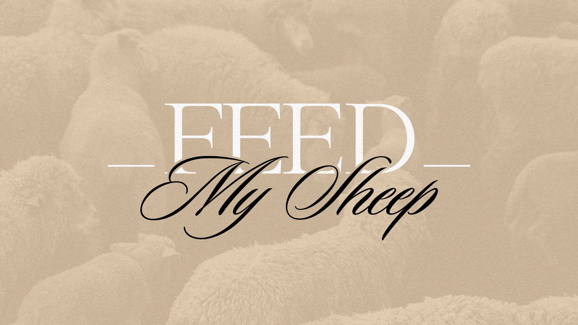 Feed My Sheep | John 21:1-25 on Vimeo