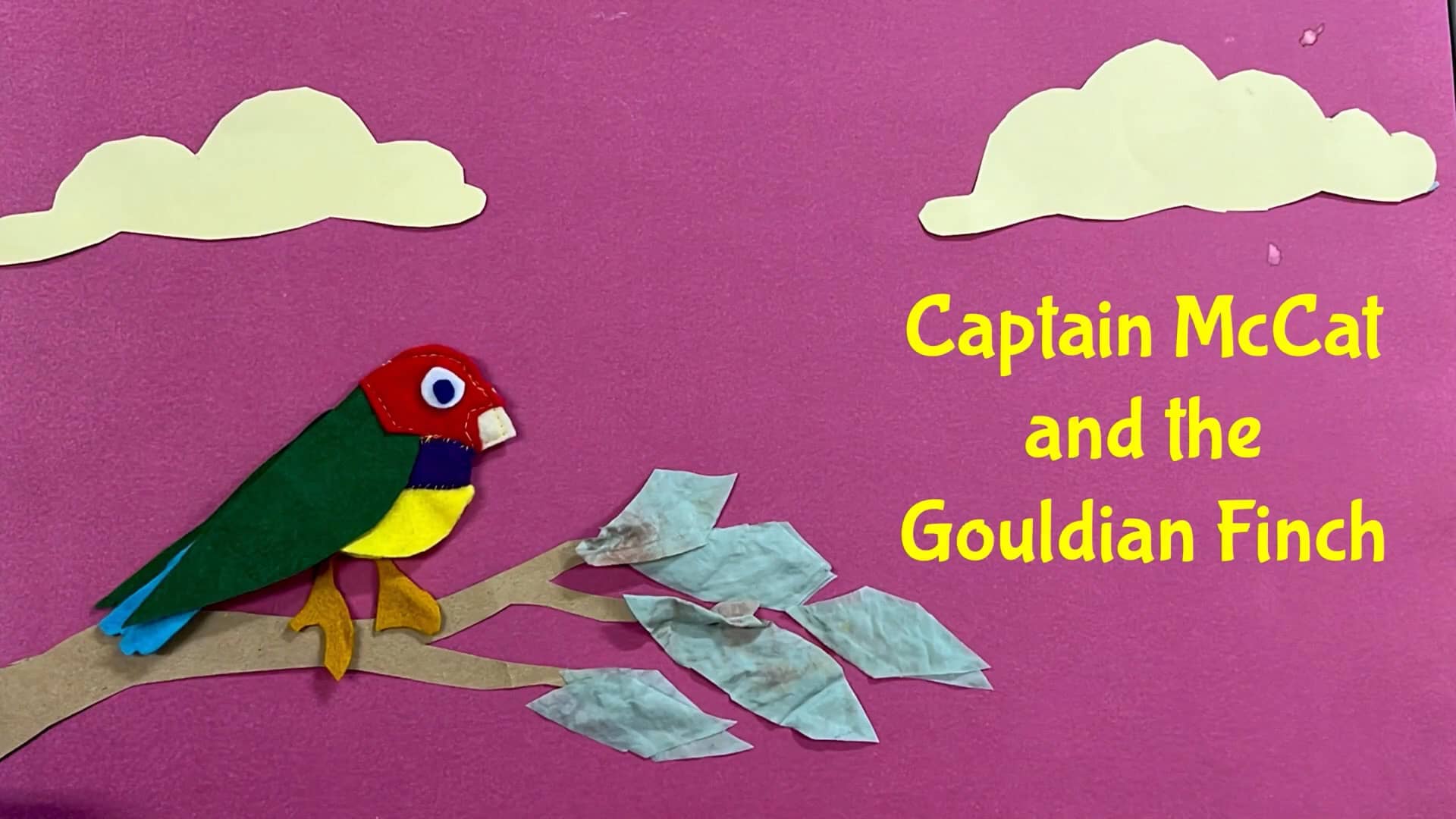Captain McCat and the Gouldian Finch - An Animation by Forsayth & Mt ...