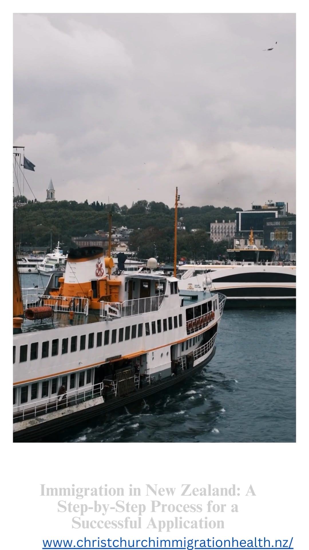 Immigration in New Zealand A Step-by-Step Process for a Successful ...