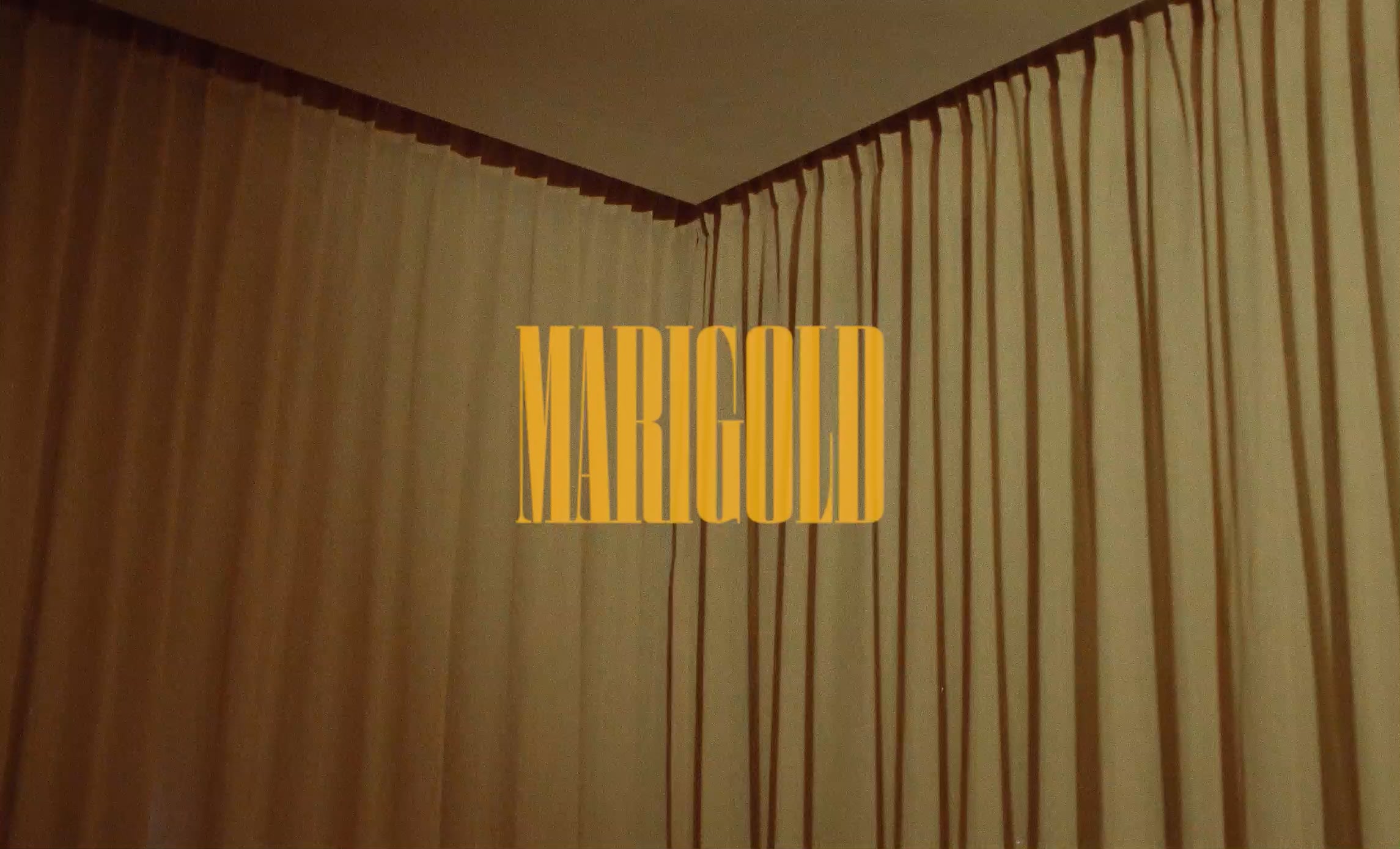 MARIGOLD - SHORT FILM on Vimeo