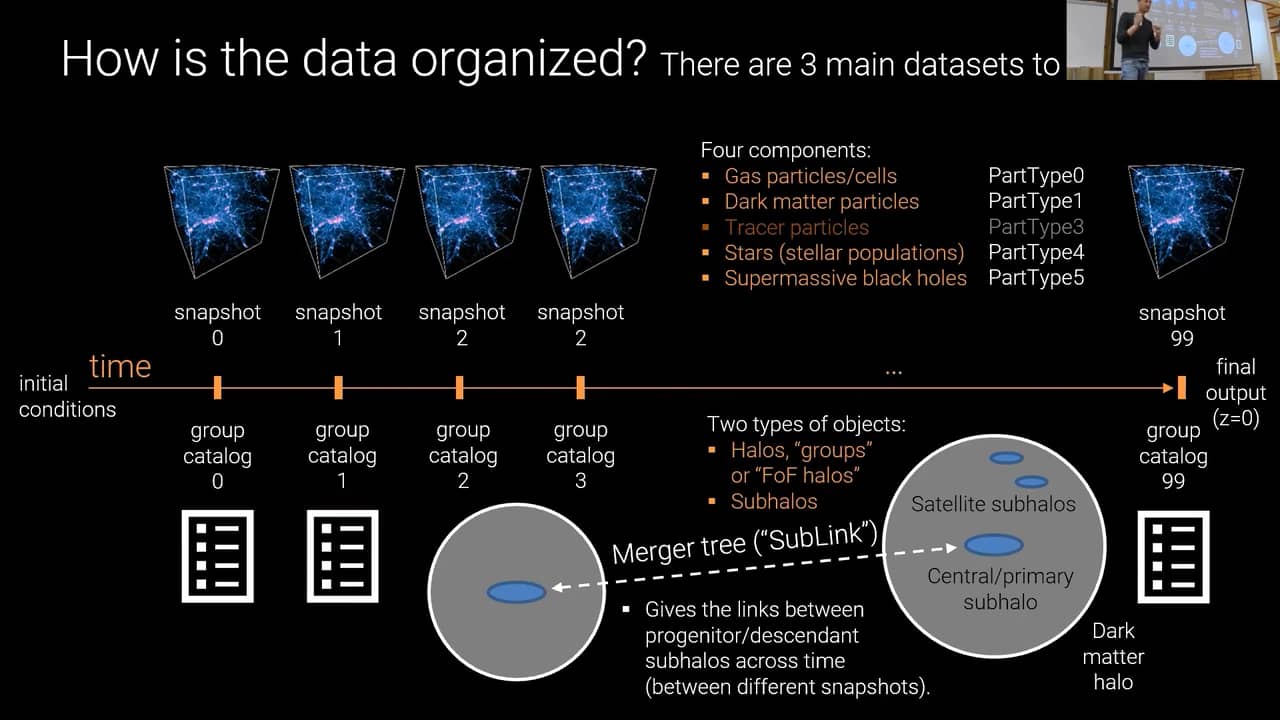 IllustrisTNG Simulation Data Hands-On on Vimeo