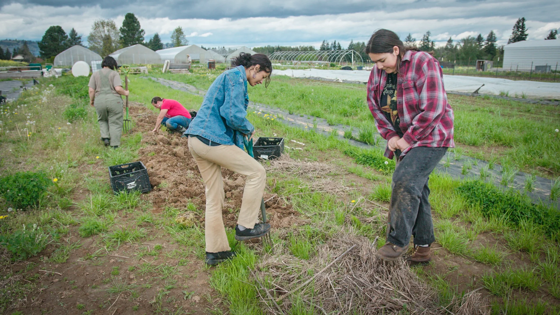 Spring 2023 Organic Farming Internship at Elderberry Wisdom Farm on Vimeo