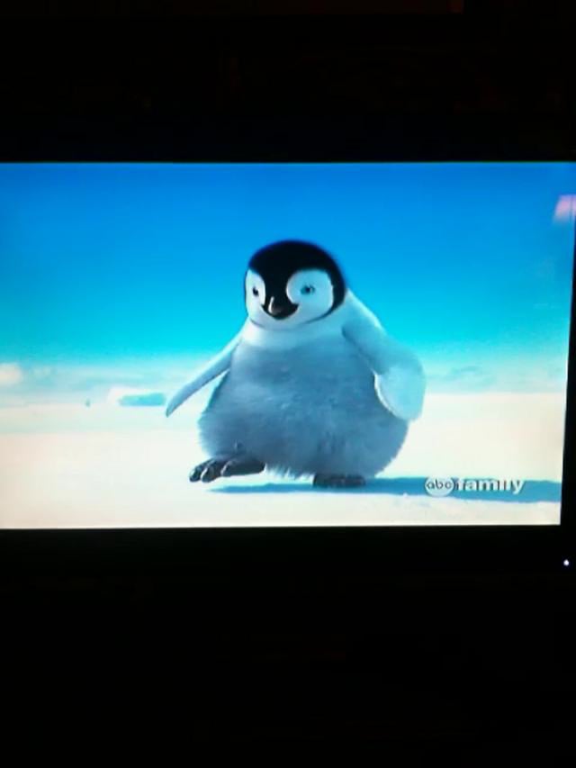penguin on Vimeo