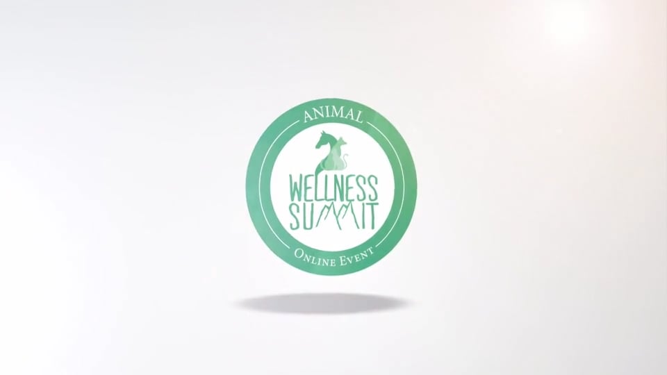 Sarah-Jane Farrell What animals want you to know about death on Vimeo