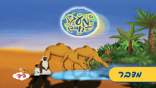 מעגל החיים - דלעת | יוקיד