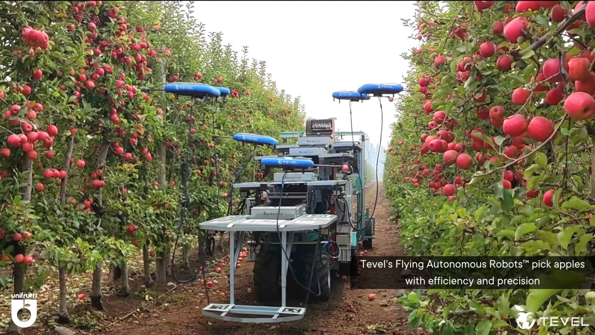 Unifrutti & Tevel Partner To Bring Autonomous Harvesting to Chile on Vimeo