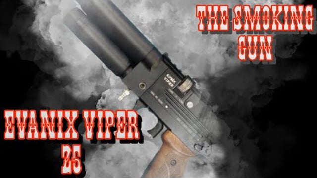 Evanix Viper 25 caliber Range day - Amazing Airgun - Airgun101