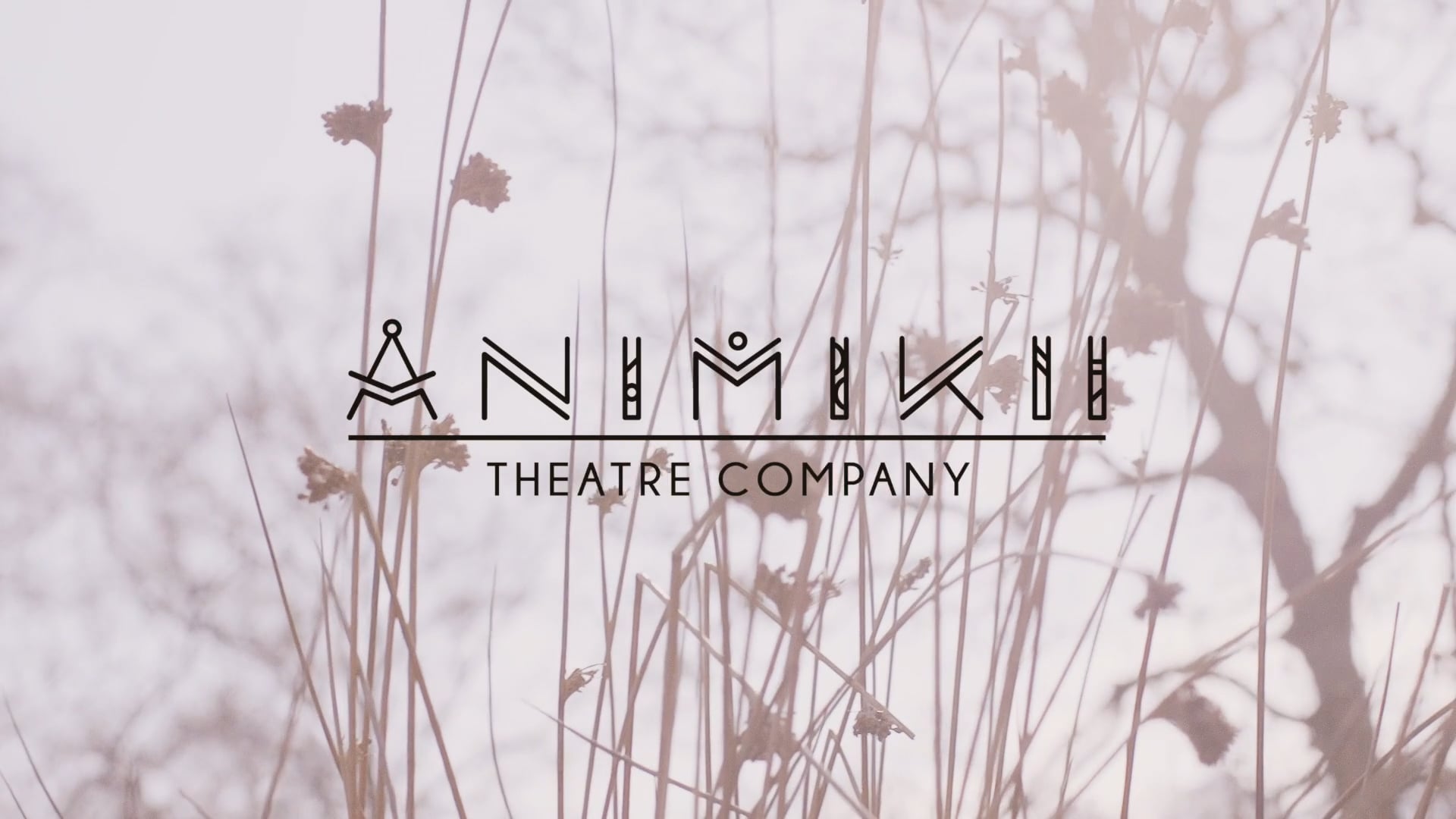 Animikii Intensive Promo D1 on Vimeo