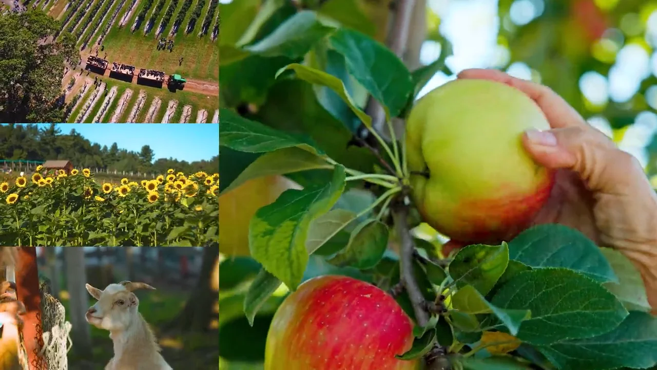 Boston MA Area Apple Picking Farm - Parlee Farms on Vimeo