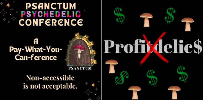 Psanctum Psychedelia: "Reimagining the Profit-delic Model" with Tom ...