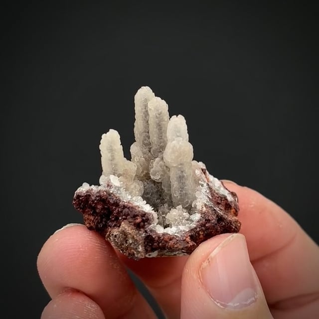 Special Auction! Specimens from the Kurt Hefendehl Collection!