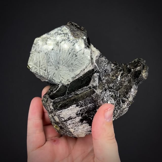 Phlogopite | Kovdor Phlogopite mine, Kovdor Massif, Murmansk Oblast, Russia