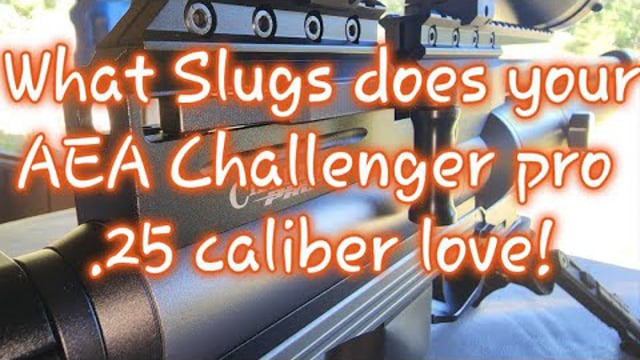 AEA Challenger Pro ( What slugs do you shoot in .25) - Airgun101
