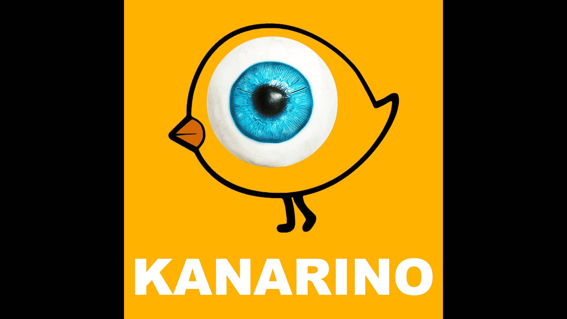 Kanarino Series (Dario Quaranta Neropop) on Vimeo