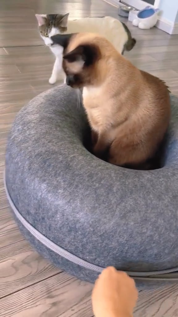 Snaptik.app_7229742175406394630 on Vimeo