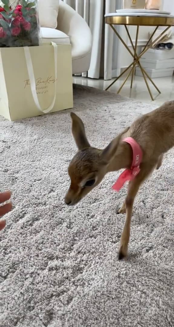 7231104397479071002.mp4 on Vimeo