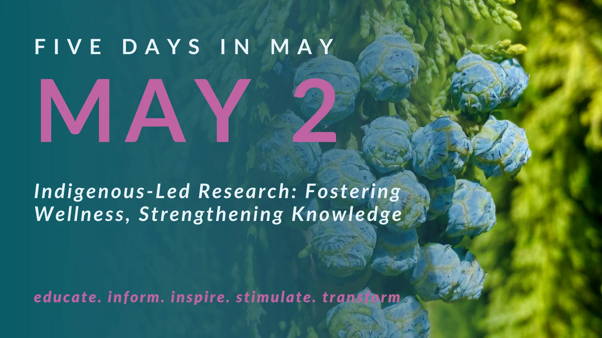 Indigenous-Led Research: Fostering Wellness, Strengthening Knowledge