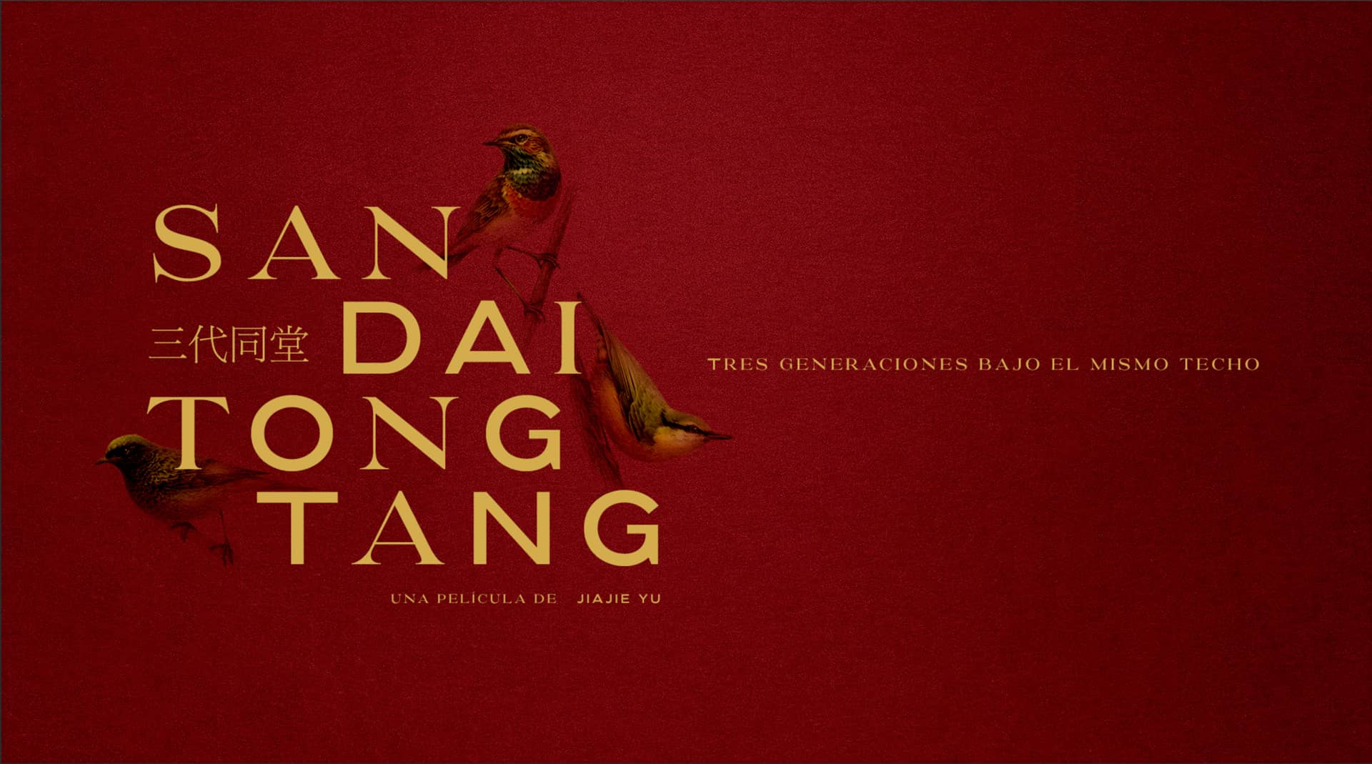 SAN DAI TONG TANG | Teaser on Vimeo