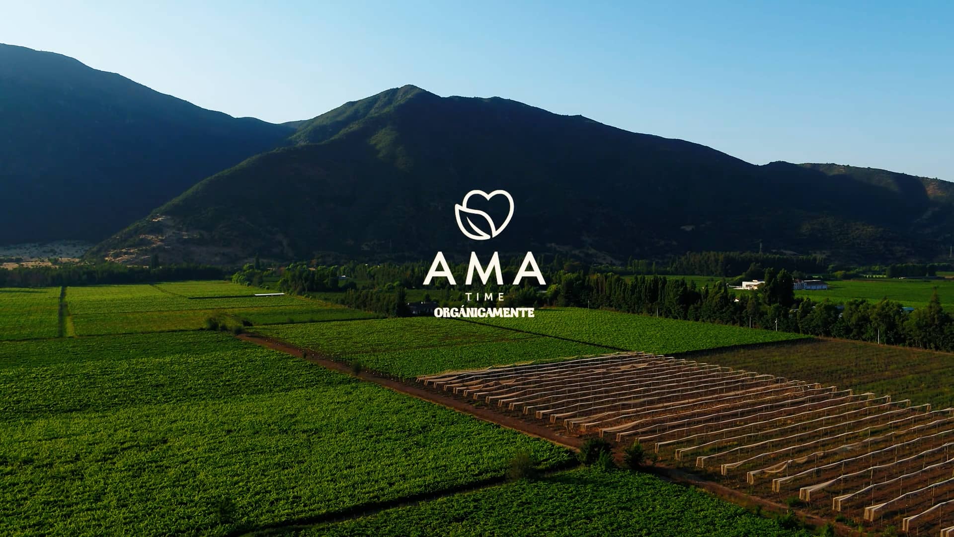 AMA TIME_TESTIMONIAL on Vimeo