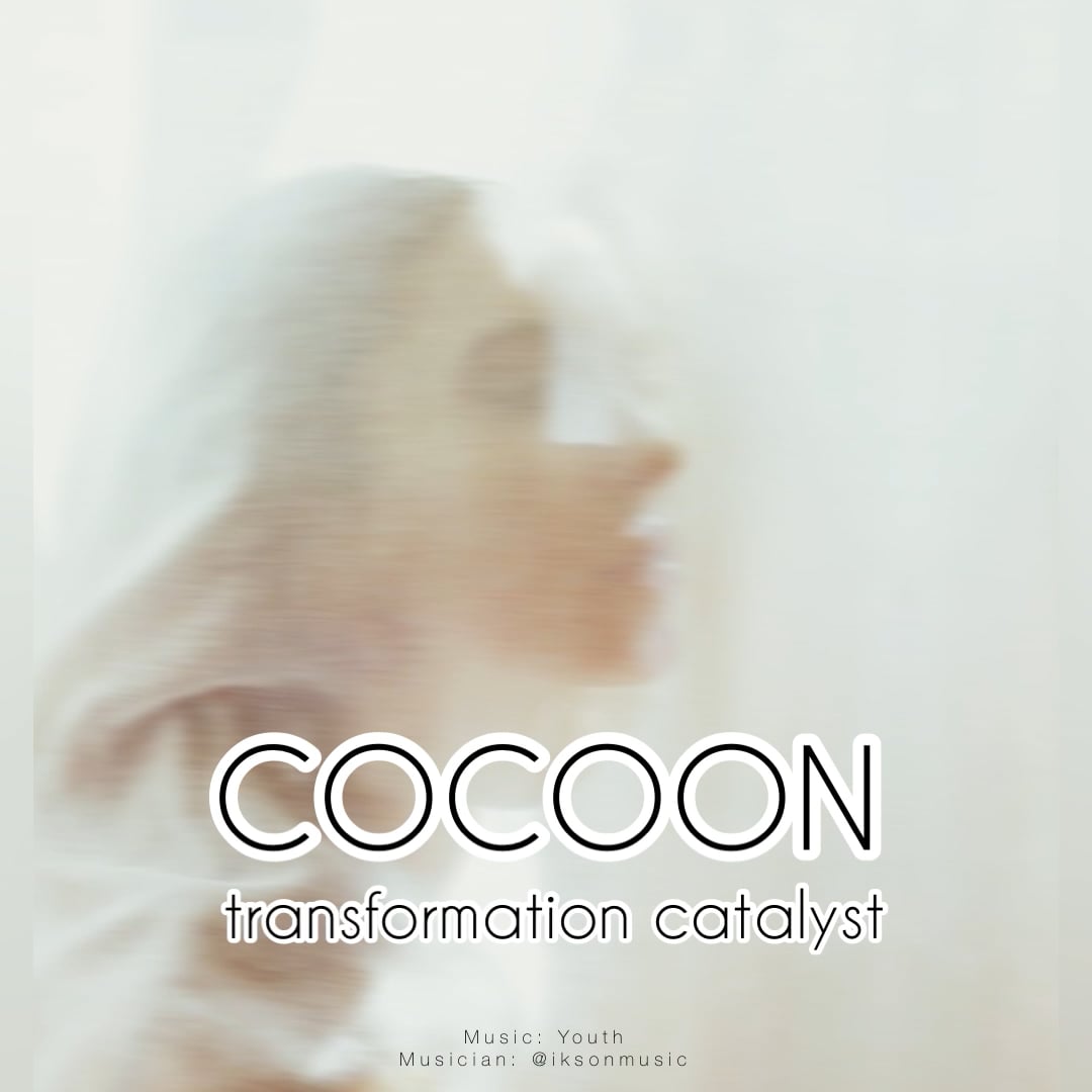 COCOON INTRO VIDEO on Vimeo