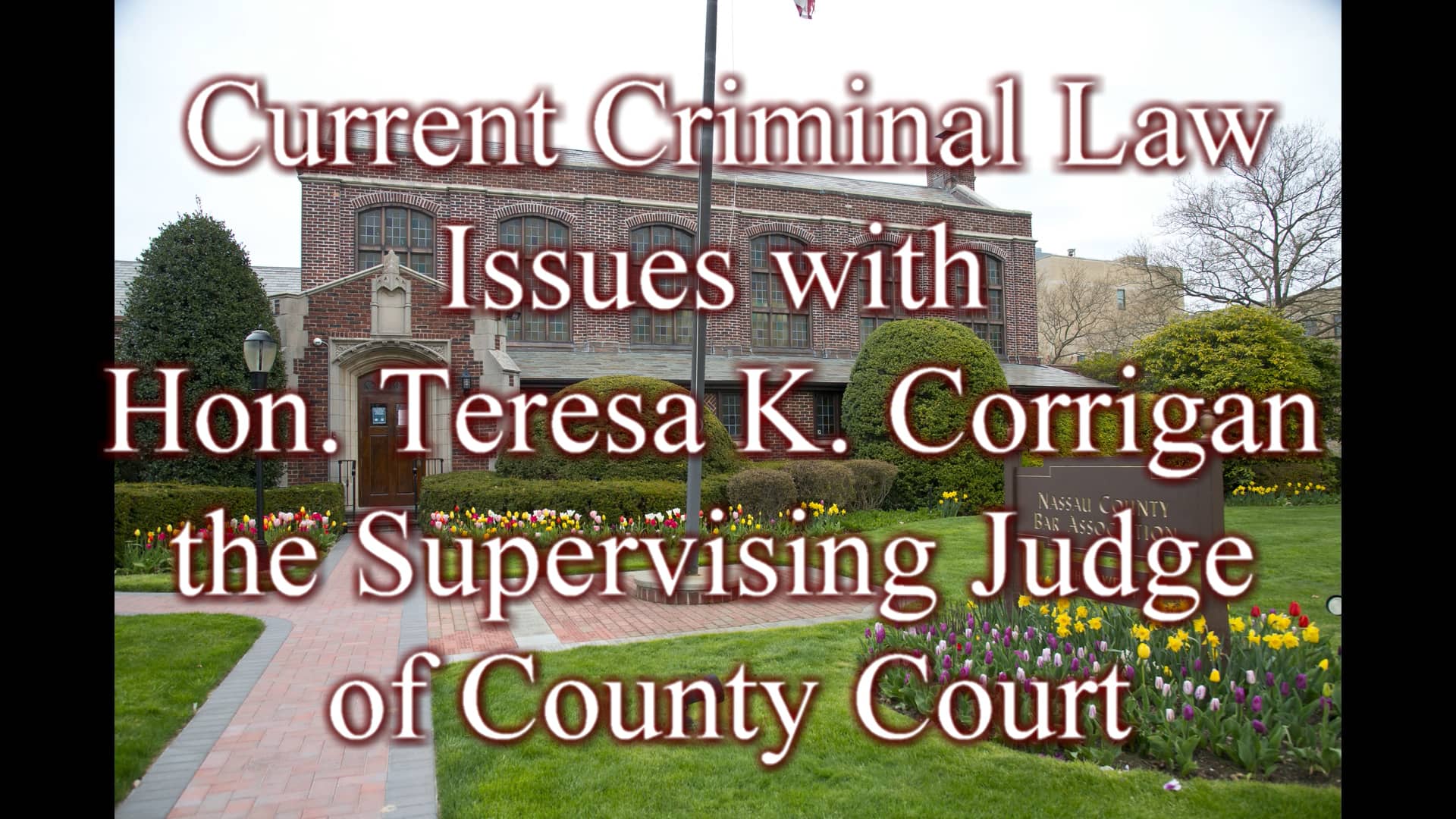 Current criminal law issues with Hon. Teresa K. Corrigan the ...