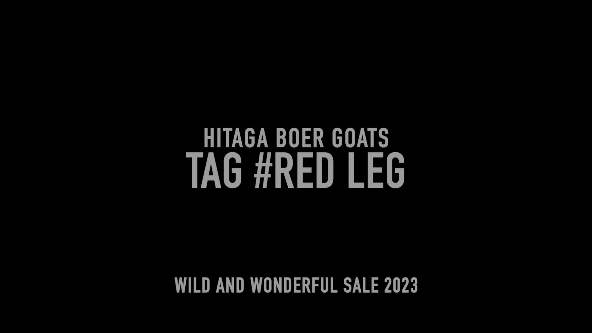 Hitaga Red Leg on Vimeo