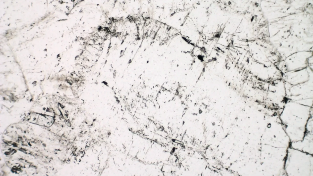 plagioclase (andesine) in thin section FKM-425 PPL polarizer rotation ...