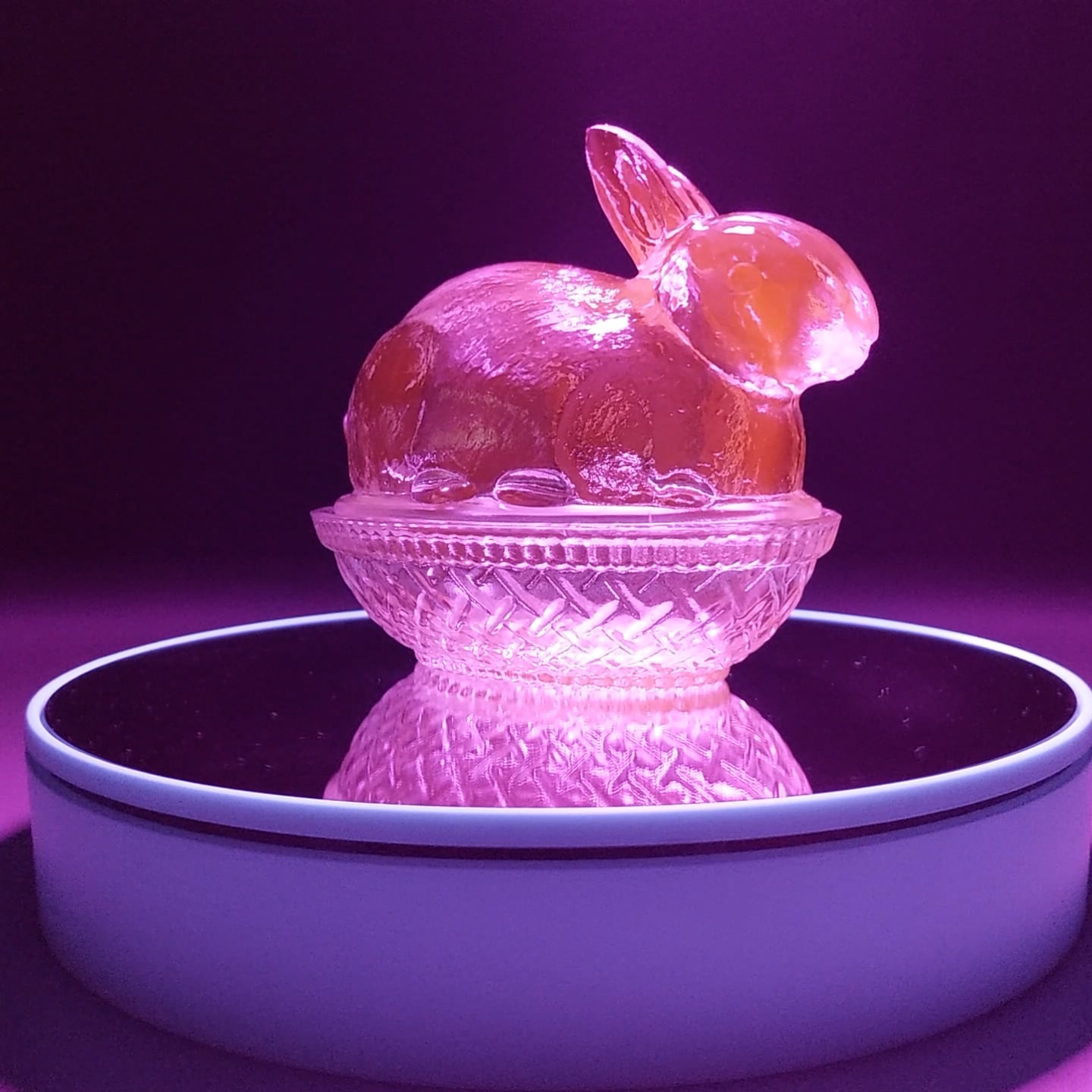 Blue Vaseline rabbit on Vimeo