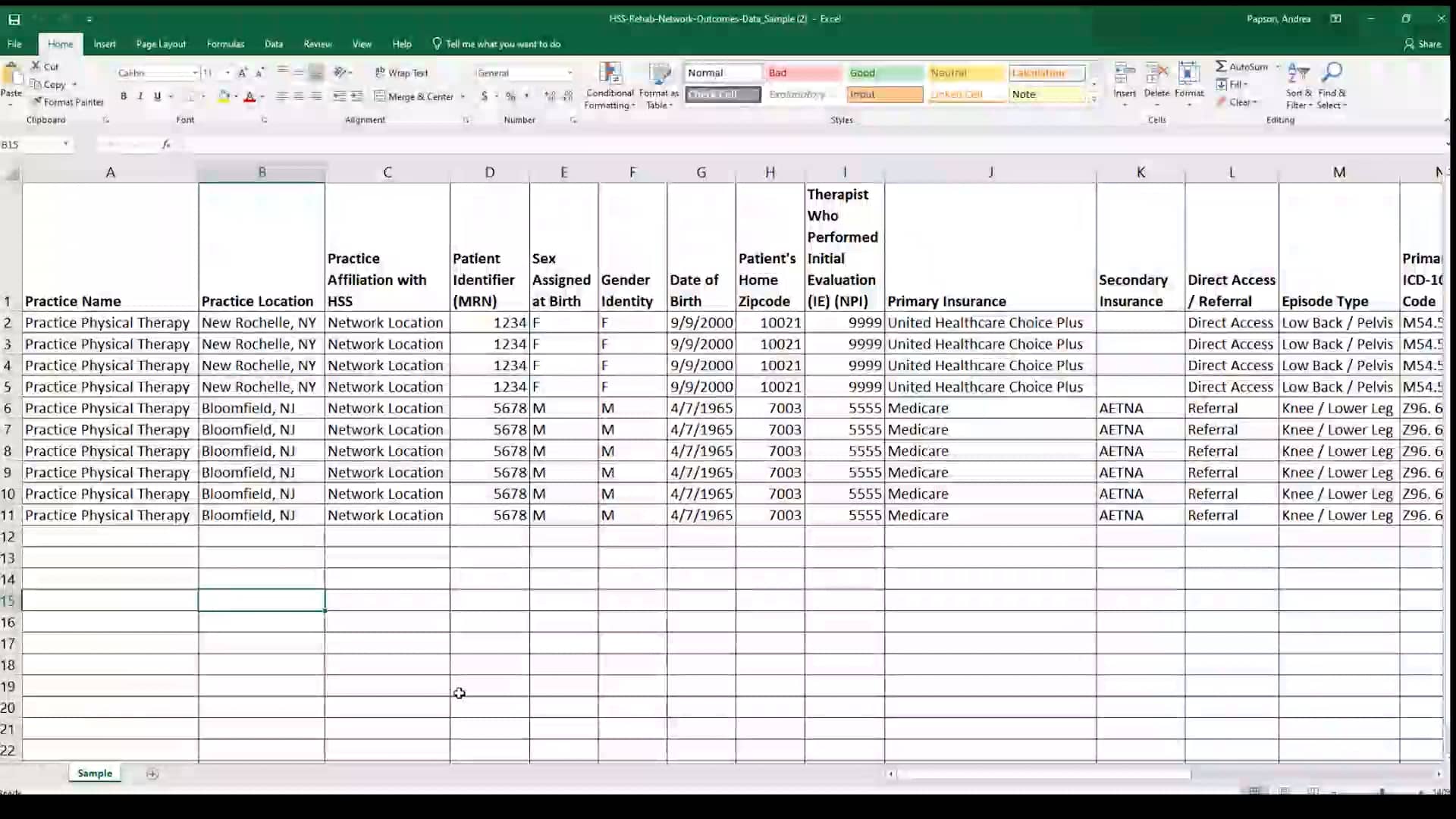 HSS Rehab National Network Data Warehouse Spreadsheet Review on Vimeo