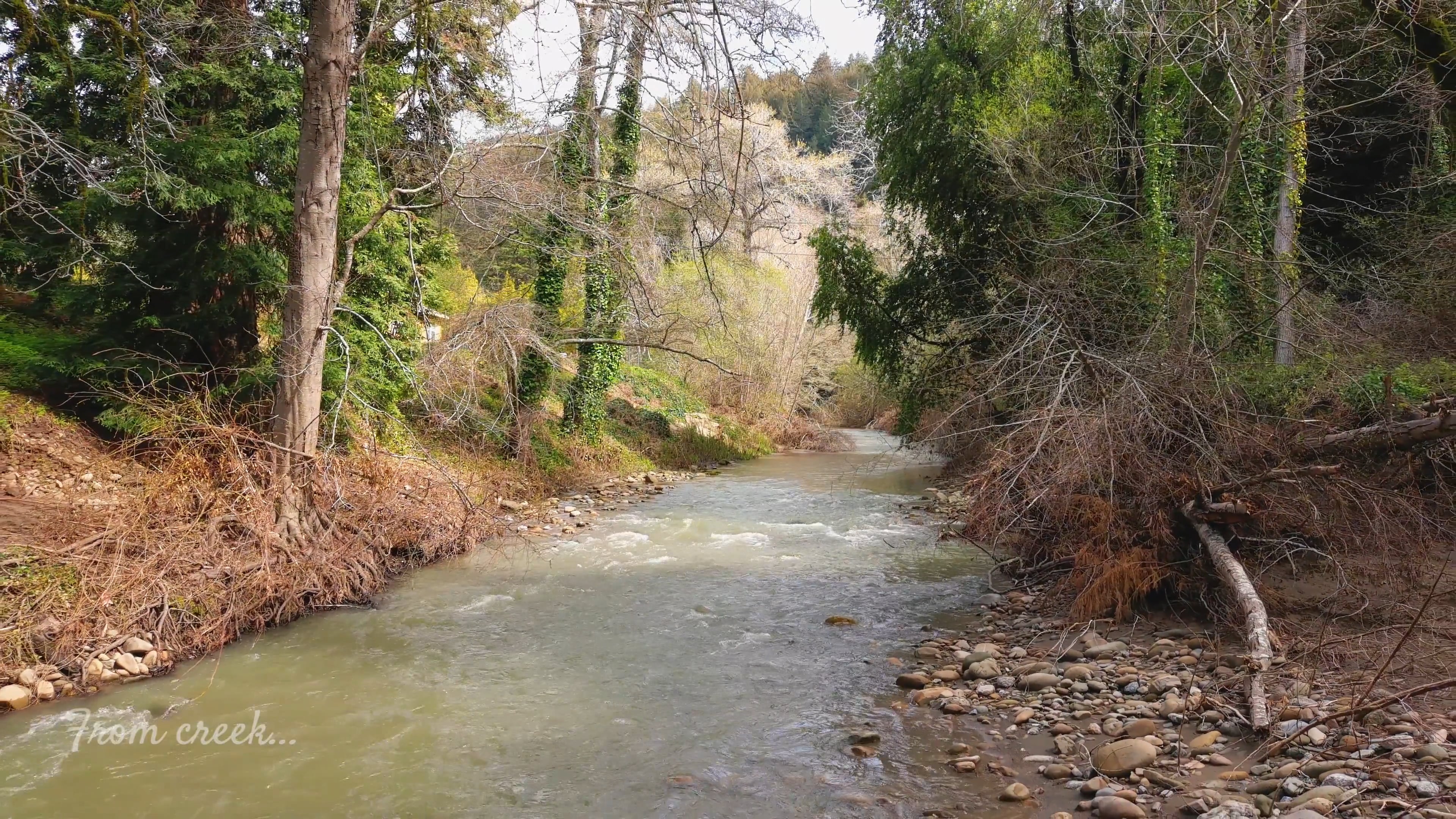 3373 Allred Lane Soquel CA Presented By Janet Romanowski v3 on Vimeo