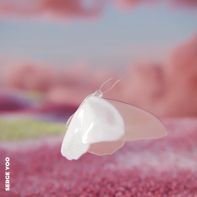 Pink Butterfly Tumblr Photography