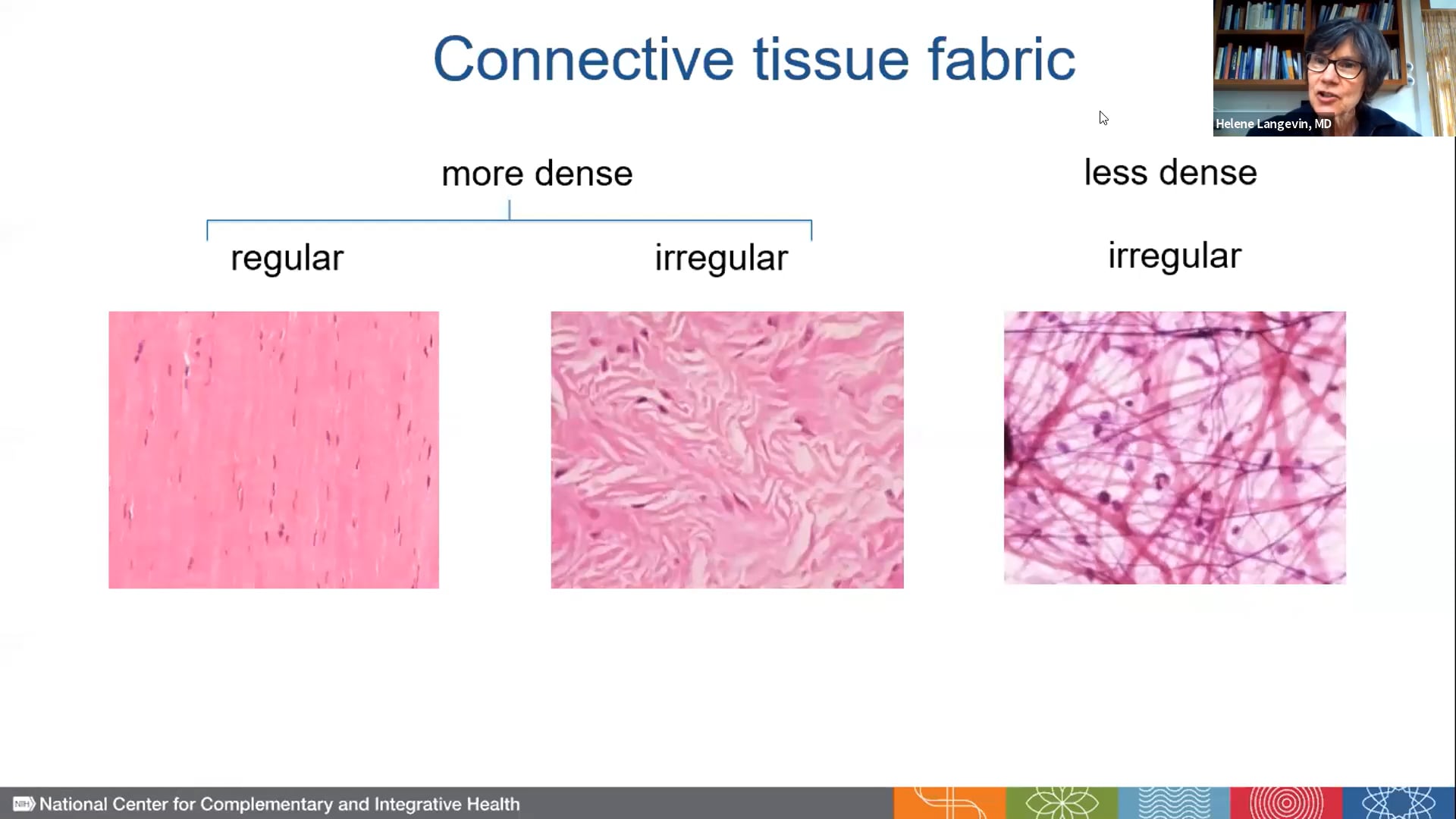 Watch Effect of Stretching on the Resolution of Inflammation Within ...