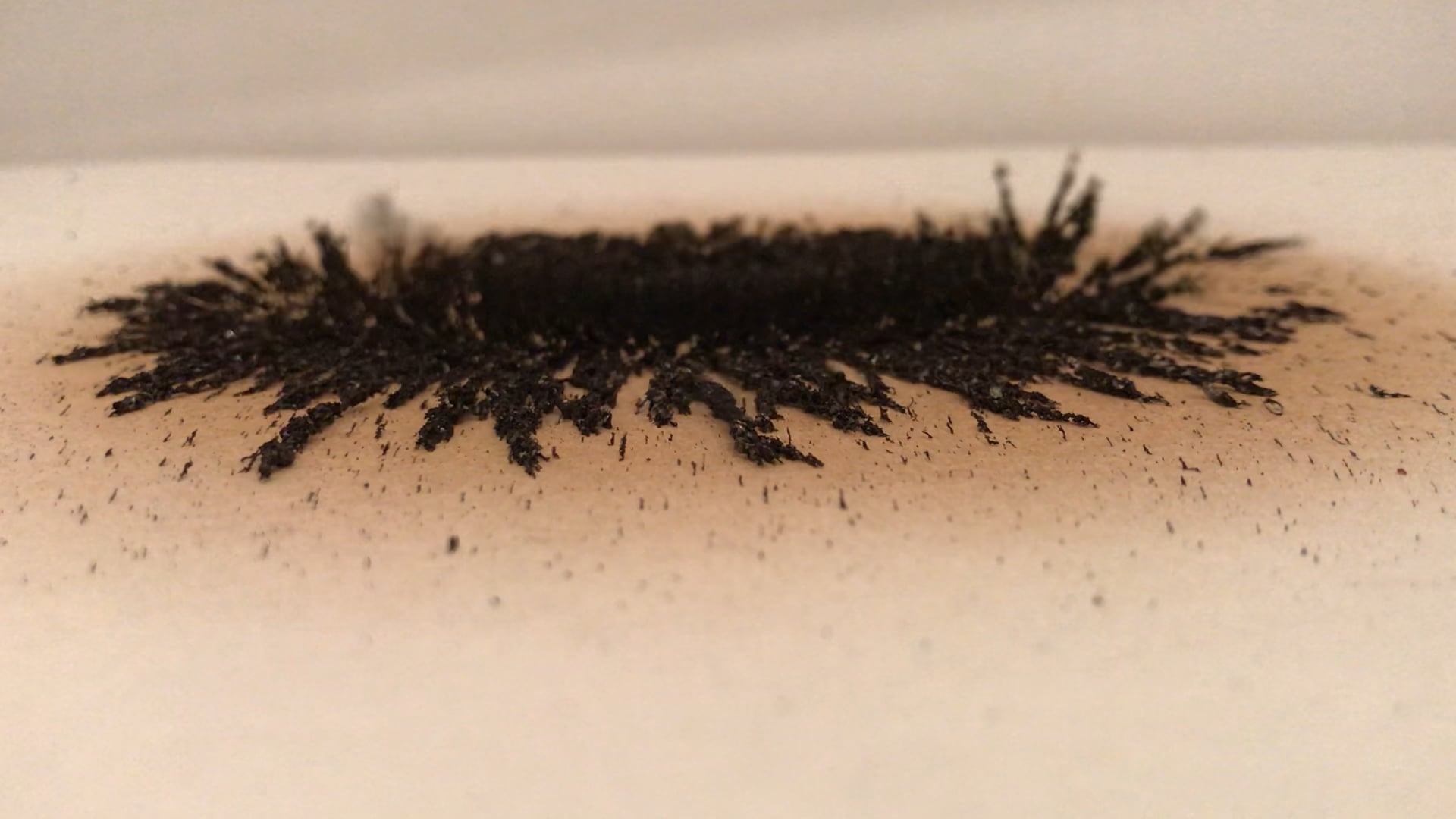 The Trace on Vimeo