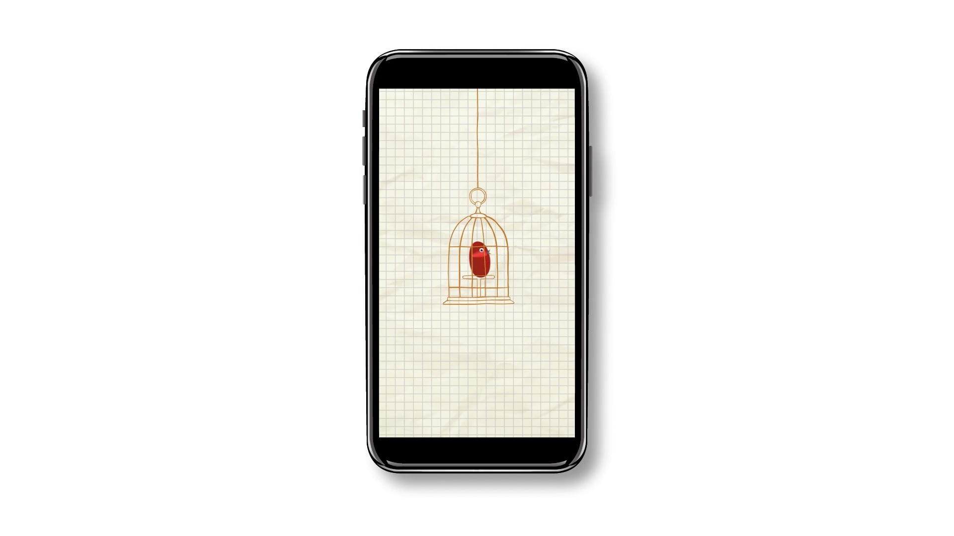 sticky_bird_mockup_ZAC on Vimeo