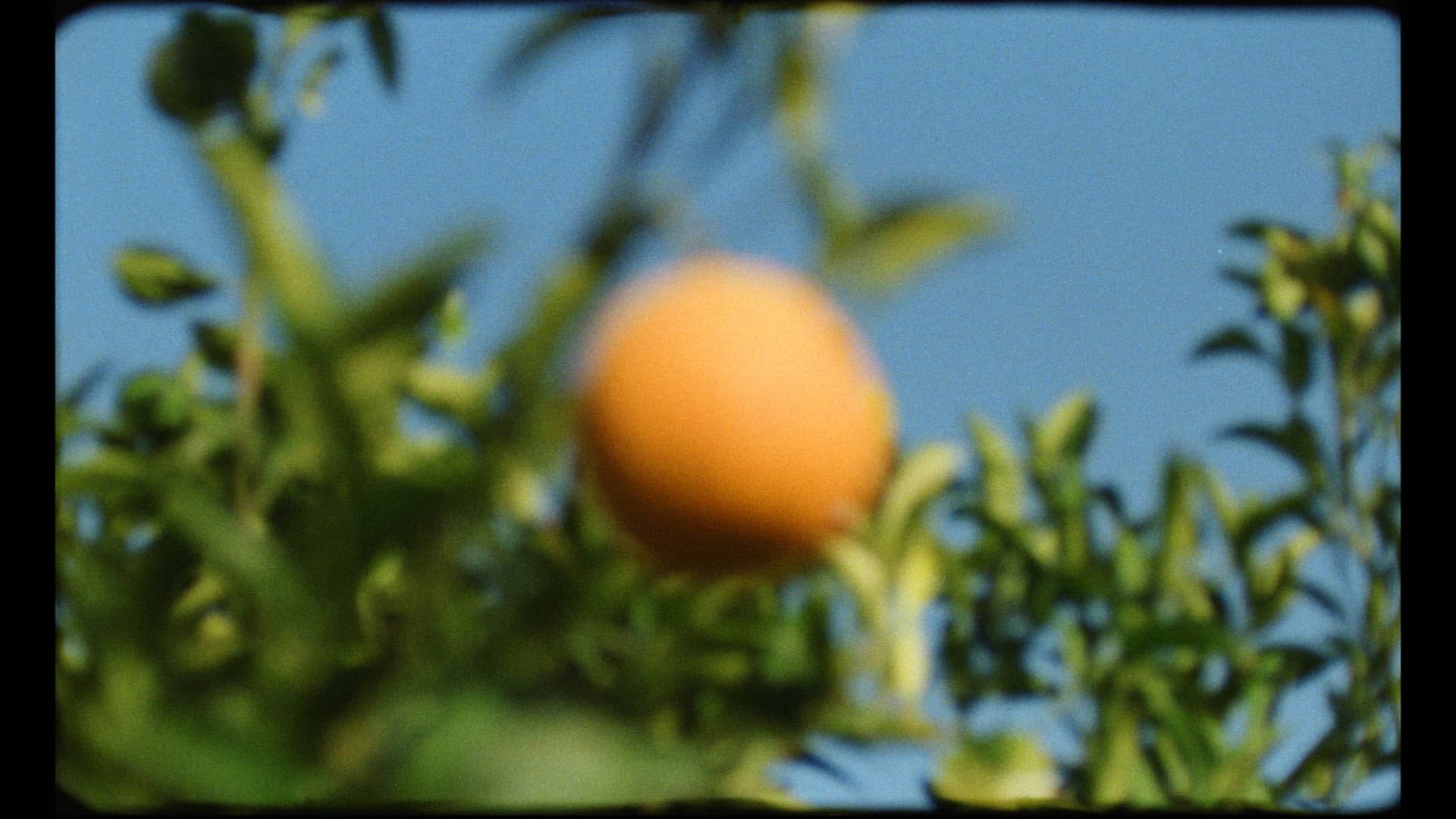 HERMÈS_CRÉATEUR_JAC01_MIXAGE_V03 on Vimeo