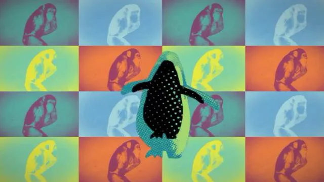 Resolution Design - Optus Happy Days on Vimeo