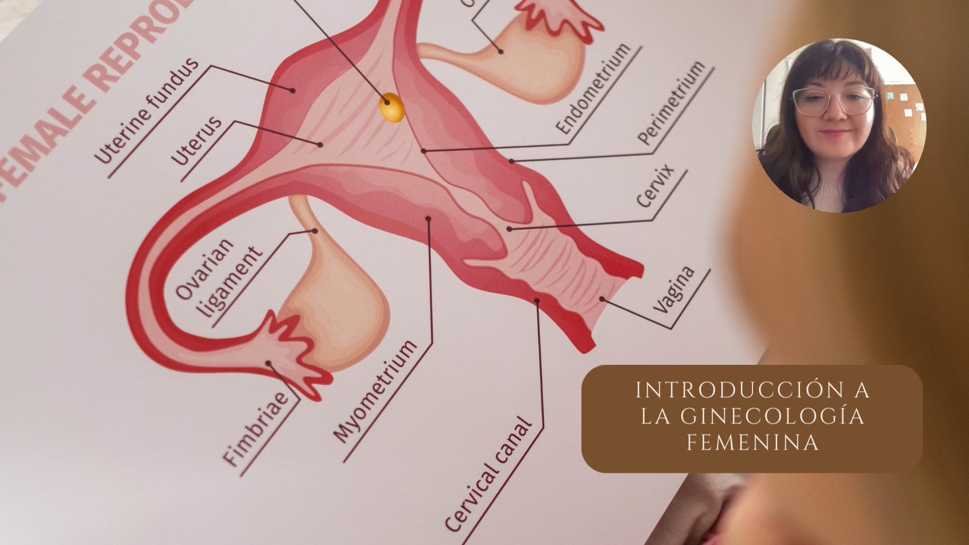 Modulo 2 clase 1 on Vimeo