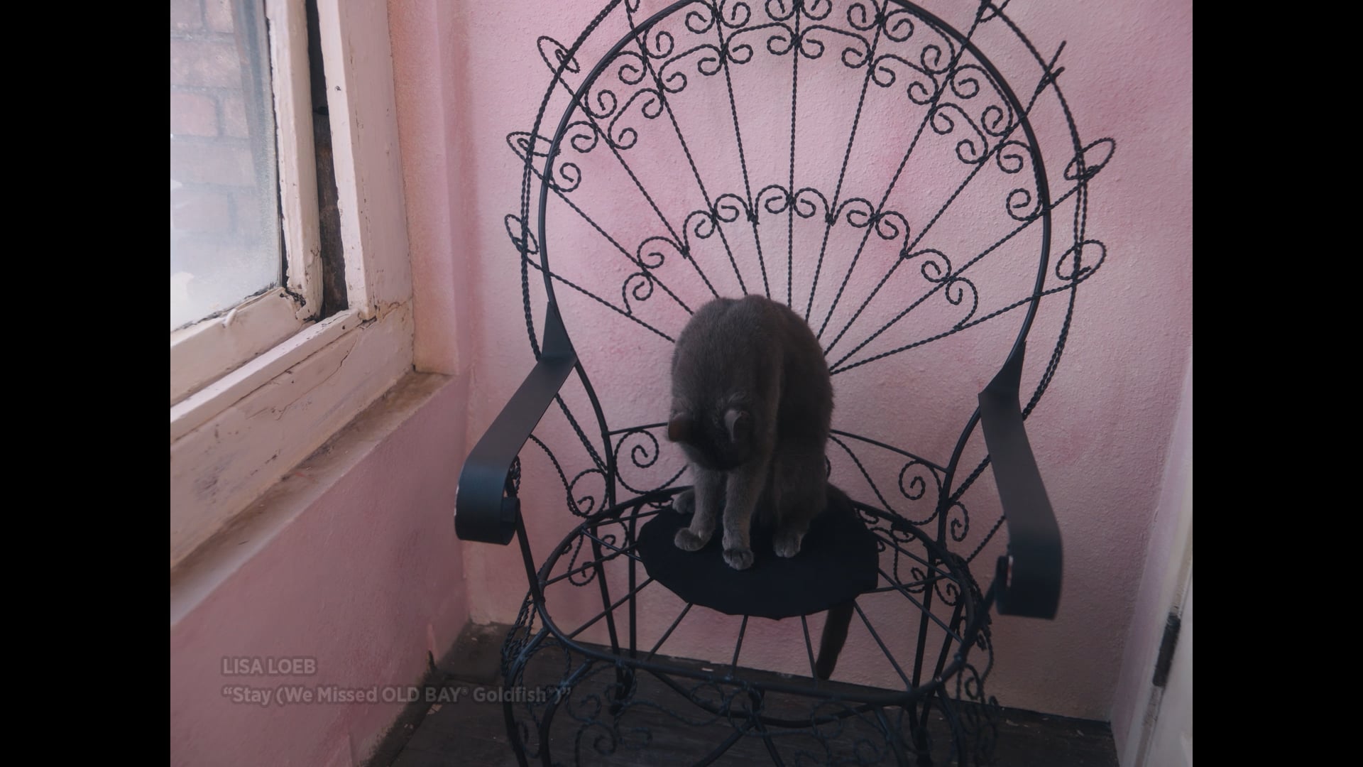 Goldfish x OldBay "Stay" on Vimeo