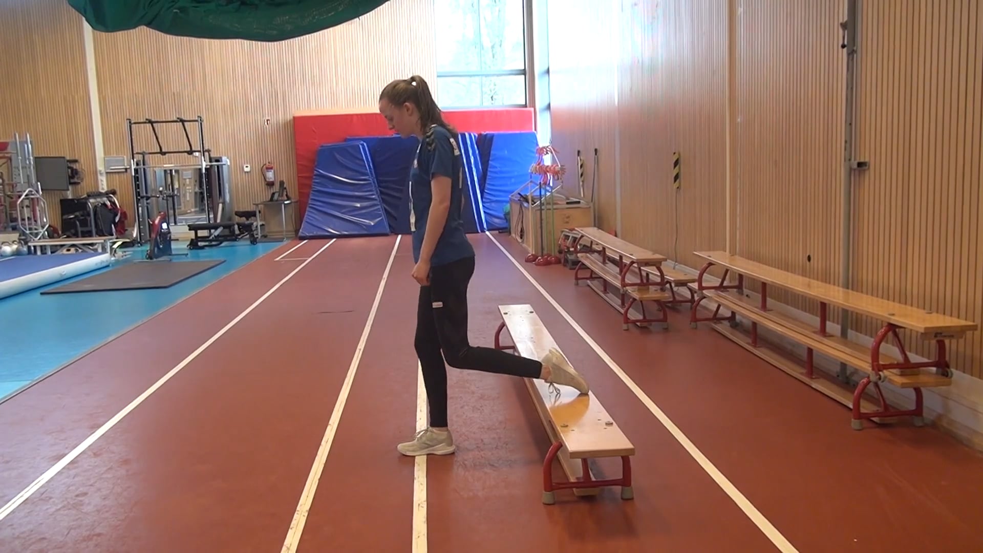 Bulgarsk utfall on Vimeo