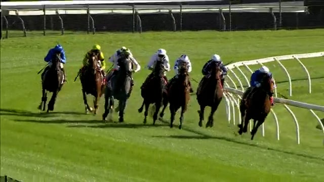 Lean Mean Machine - Stallion | Breednet