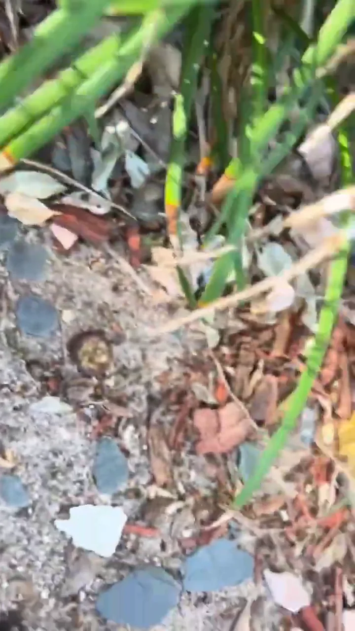 Welcome to the Joy + Soul Experience_ Intro