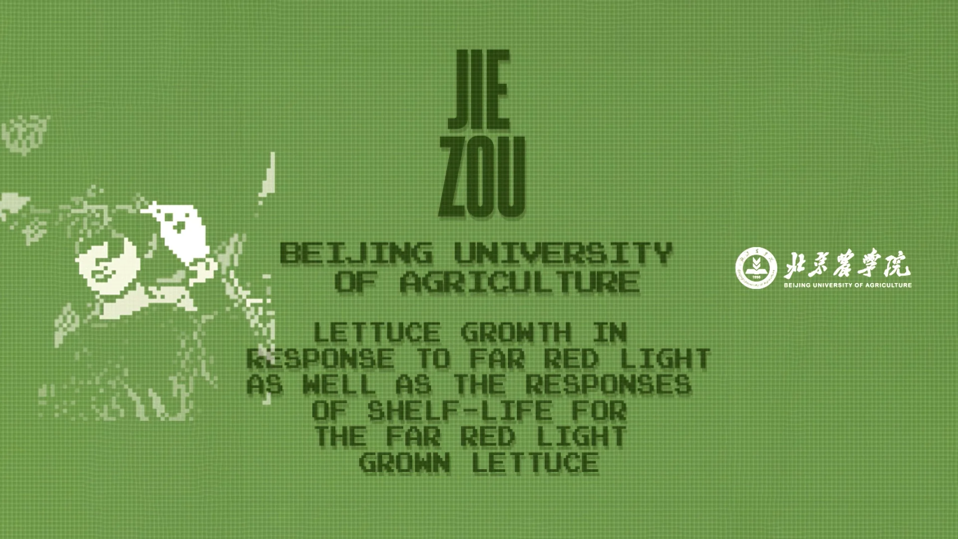 Does Far-Red promote growth and shelf life? Jie Zou, China on Vimeo