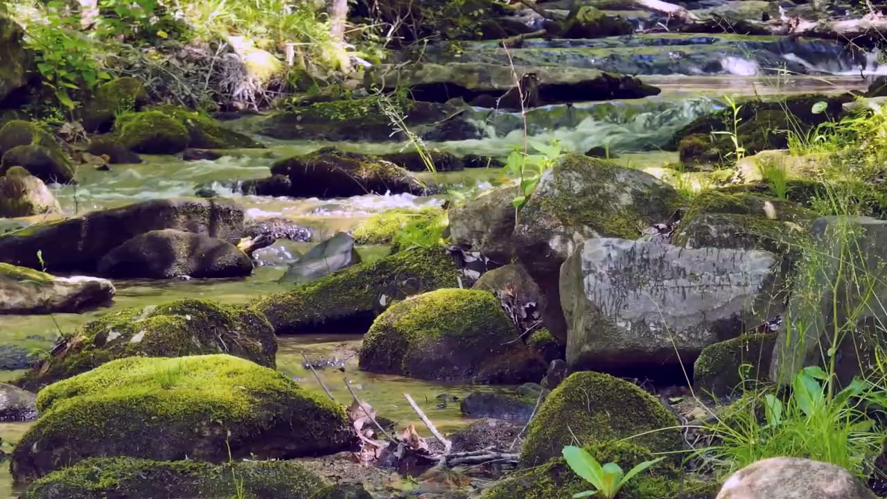 200 Acres in Laytown NC (2) on Vimeo