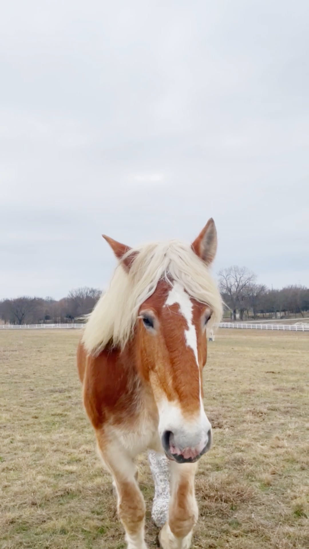 IMG_2012 (1) Willow Hello-edit on Vimeo